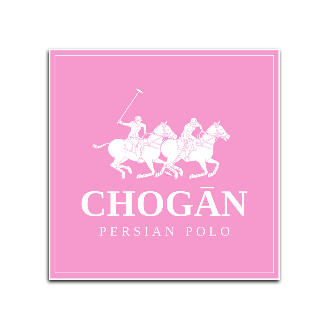Unique Persian Stickers and Magnets from Persian Sticker Stories